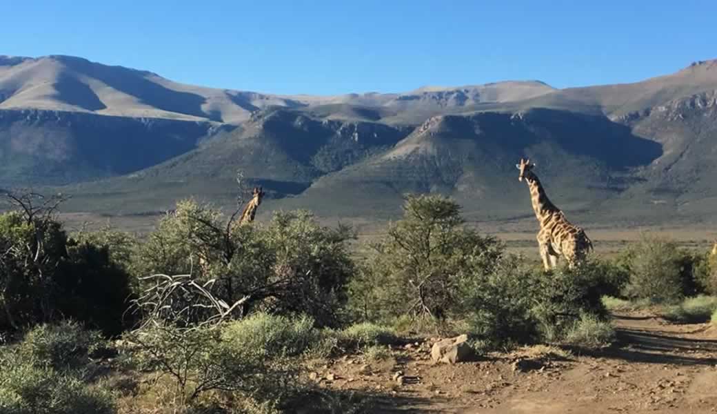 Karoo Farm Things to Do